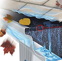 Defy Leafs with Leaf Defier - Home Fixated