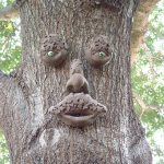 Harmless Prank: Use Tree Faces to Turn Your Neighbor's Tree Into An Ent