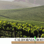 California Rootstock: Backyard Vineyard