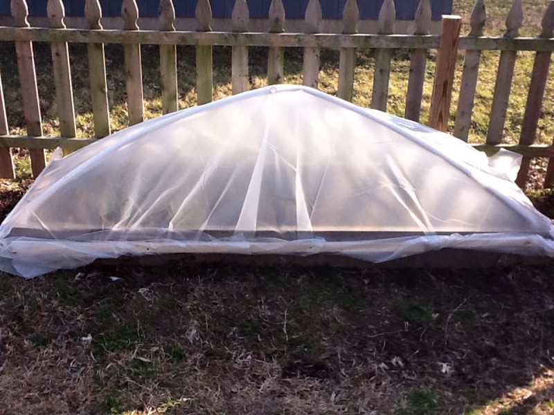 How to Make an Easy Hoop House For Your Garden Box - Hoop There It Is