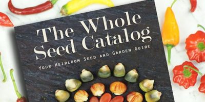 Seed Catalogs That Brighten Your Winter - Home Fixated