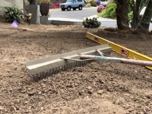 The Most Essential Landscaping Tools - Home Fixated
