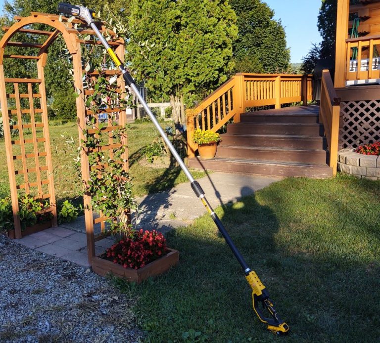 Dewalt 20v Max Pole Saw - Nothing is Out of Reach - Home Fixated